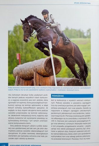 Horse riding atlas. Horses - Riding technique - Tips | Sports Books ...