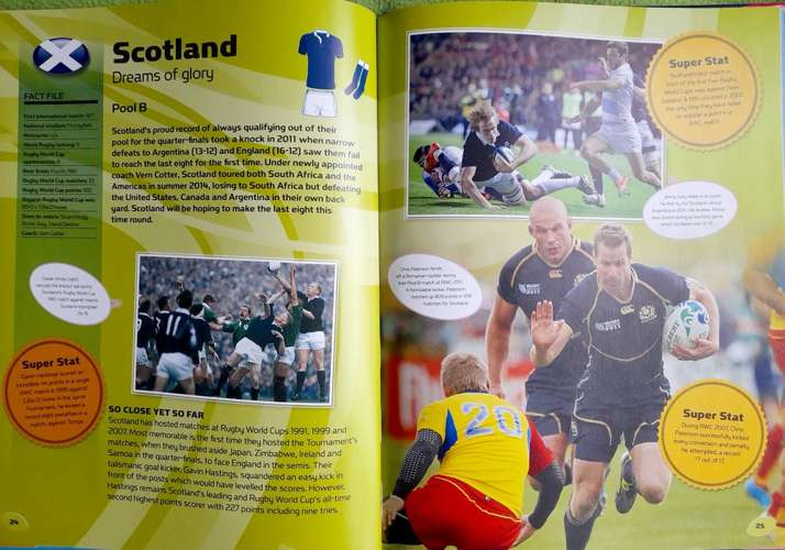 The Official Rugby World Cup 2015 Fact File | Sports Books \ Others Sports