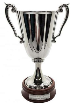 Big Replica UEFA Cup Winners' Cup (Official Licensed Product) 15 cm ...