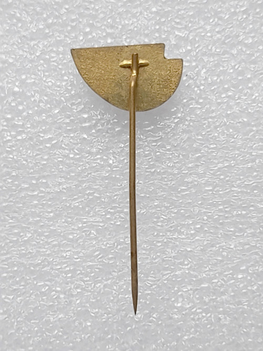 Dukla ASVS Banska Bystrica badge (epoxy) | Badges \ Slovakia