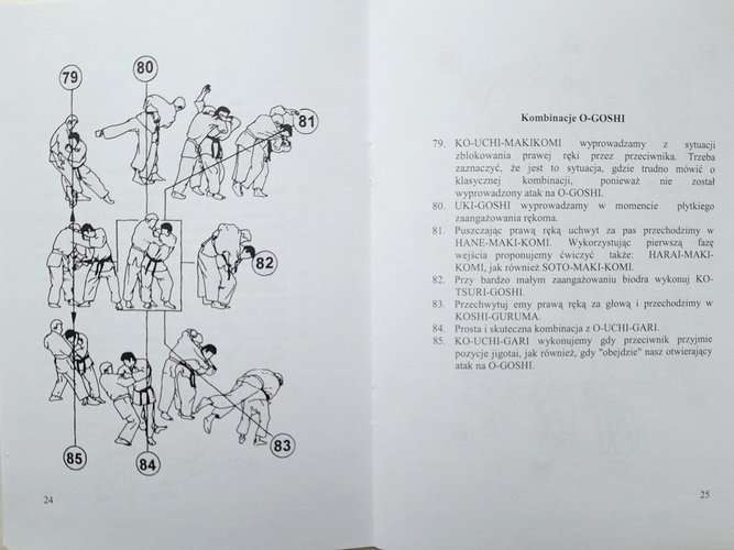 Judo. Combinations and counters | Sports Books \ Combat Sports